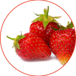 横浜でいちご狩りならthe BERRY YOKOHAMA